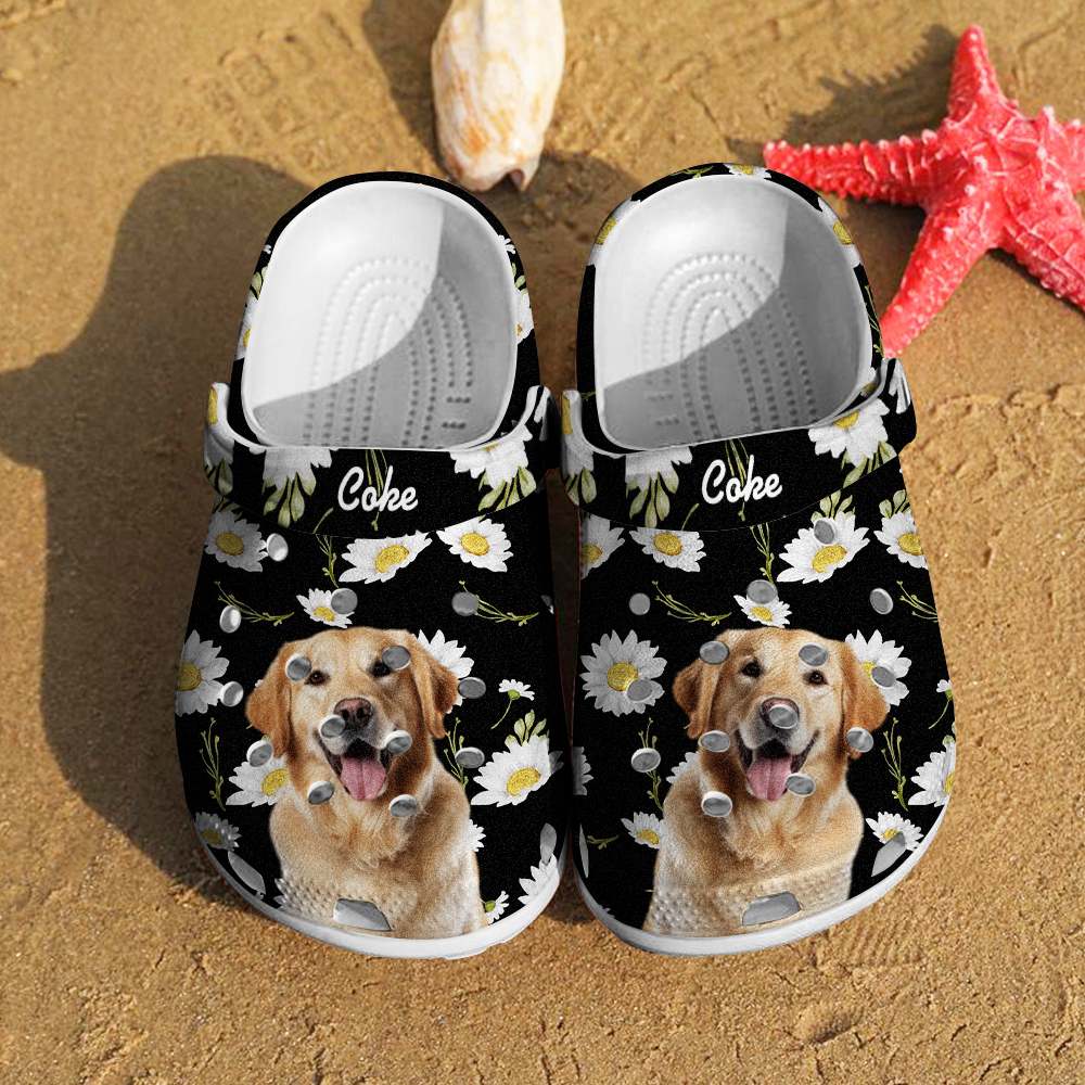 Personalized Pet Portrait Clog Funny Clogs Slipper Birthday Gift for ...
