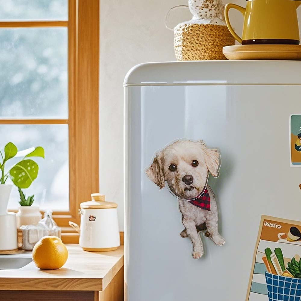 Personalized Refrigerator Magnet with Photo Pet Portrait Fridge Magnets ...